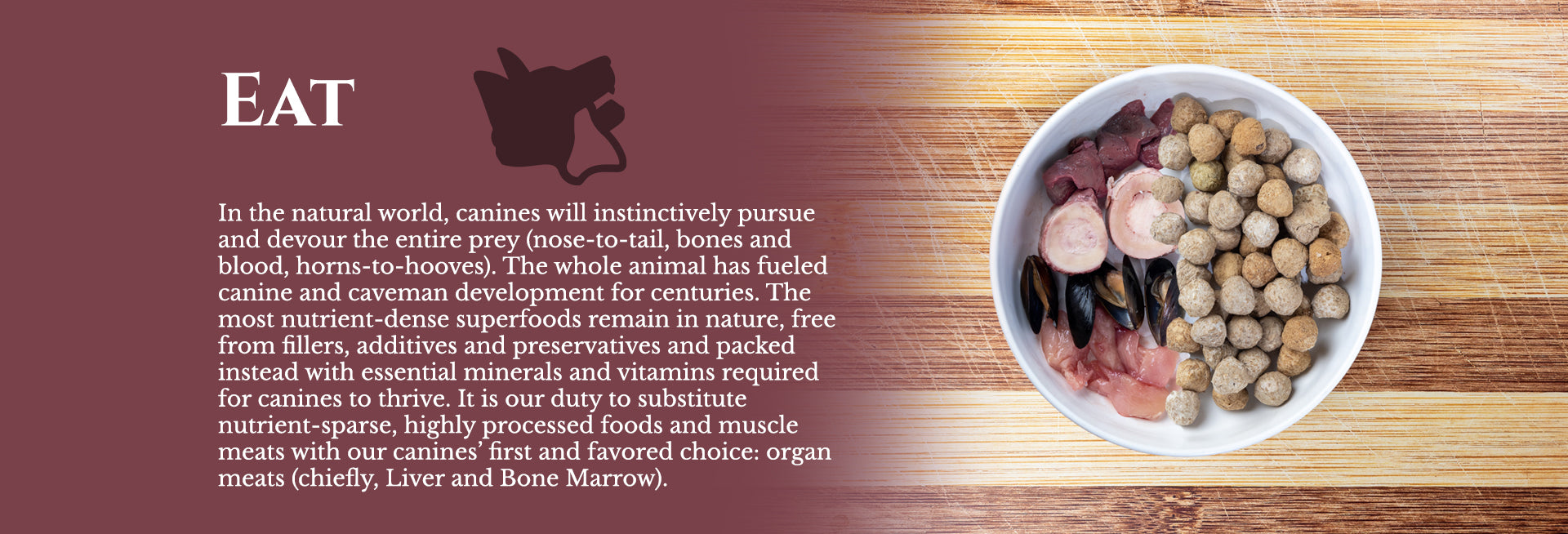 Canine Commandments | Heart of the Canine